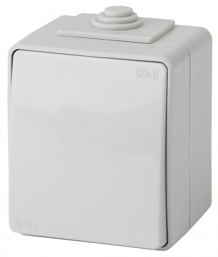 11-1601-03 ЭРА Выключатель IP65, 10АХ-250В, ОУ, Эра Эксперт, серый по ...